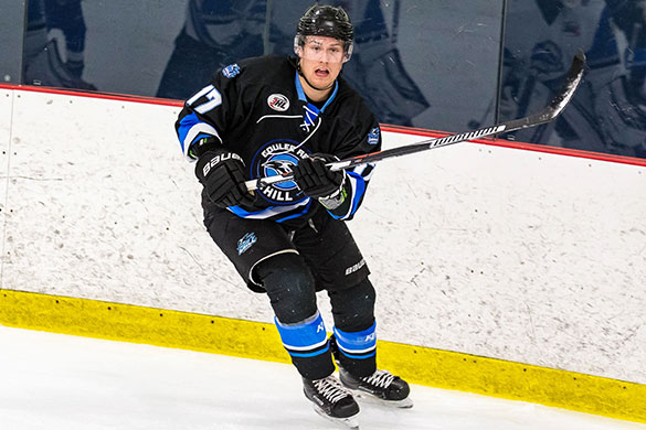 Coulee Region forward Akervik makes NCAA commitment | North American ...