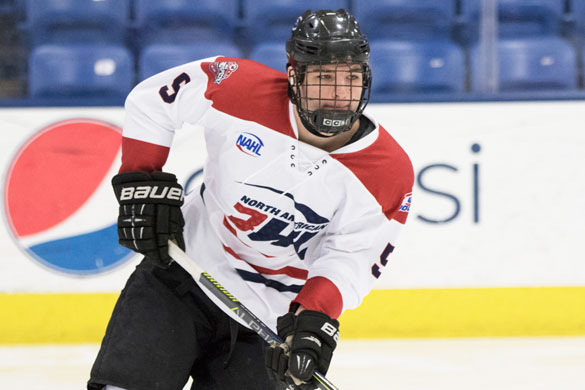 Coulee Region forward Poellinger called up to NAHL | North American ...